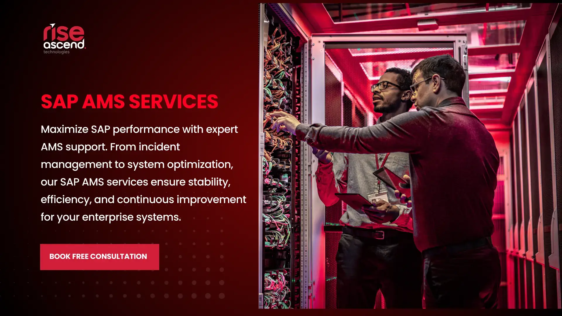 SAP Basis & Maintenance Services | System Monitoring & Support